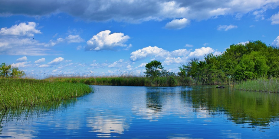 Titel, krstarenje Tisom + iznenađenje za 2520din | Popusti, kuponi i ...