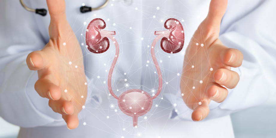 Urološki pregled+ultrazvuk sa analizama prostate | Popusti, kuponi i akcije
