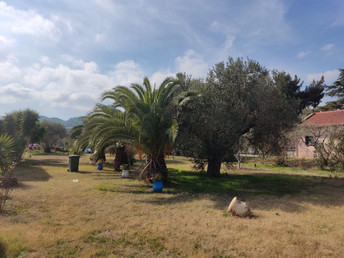 Pefkohori (10 noćenja + prevoz) za 98€! | Popusti, kuponi i akcije